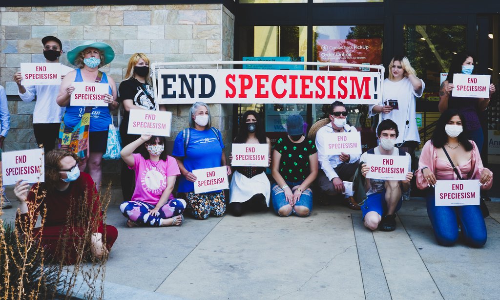 Previous editions - World day for the end of speciesism