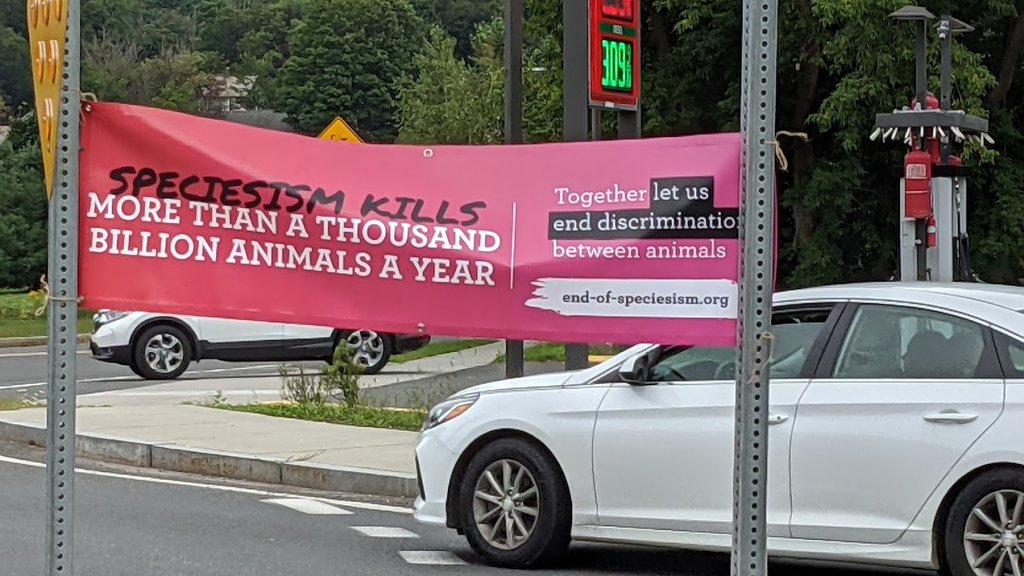 Previous editions - World day for the end of speciesism