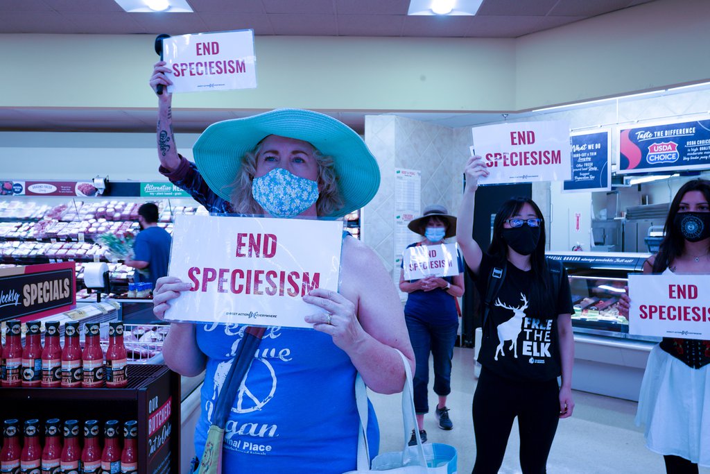 Previous editions - World day for the end of speciesism